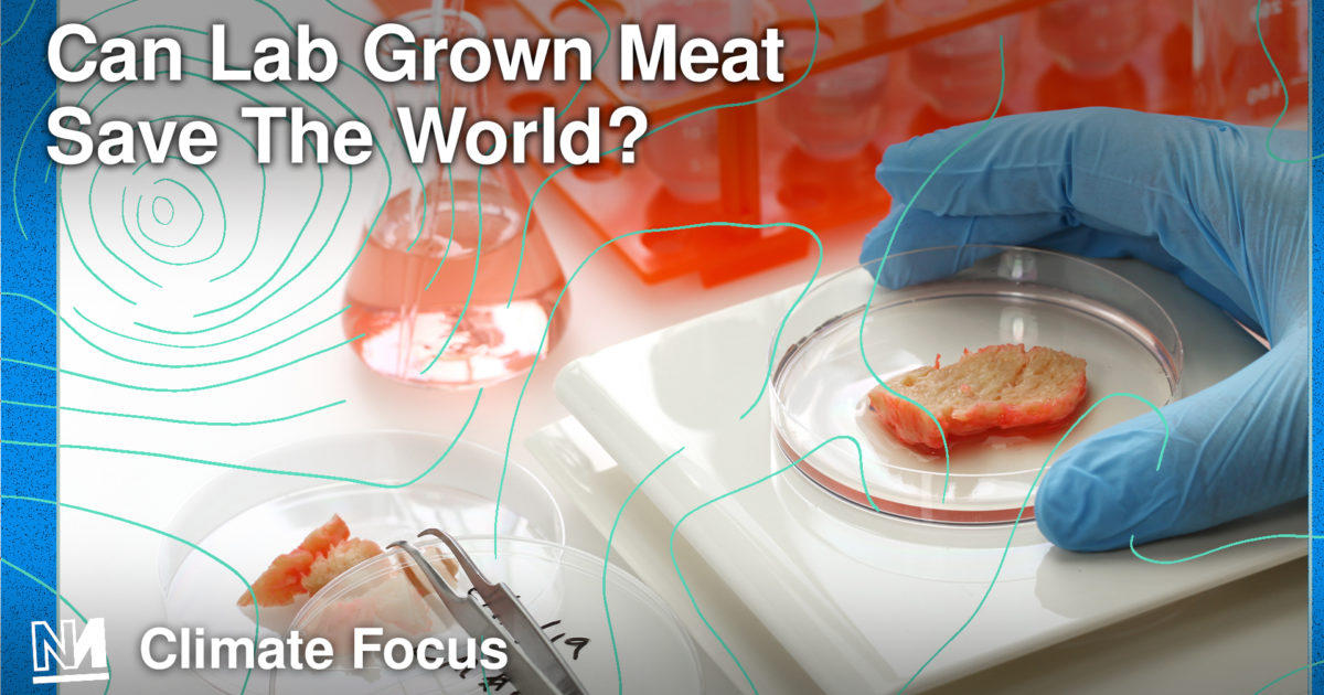 Can Lab-Grown Meat Save the World? Aaron Bastani Meets Michael Selden ...