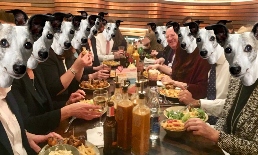 Like All Digital Parties, the Northern Independence Party Is a ...