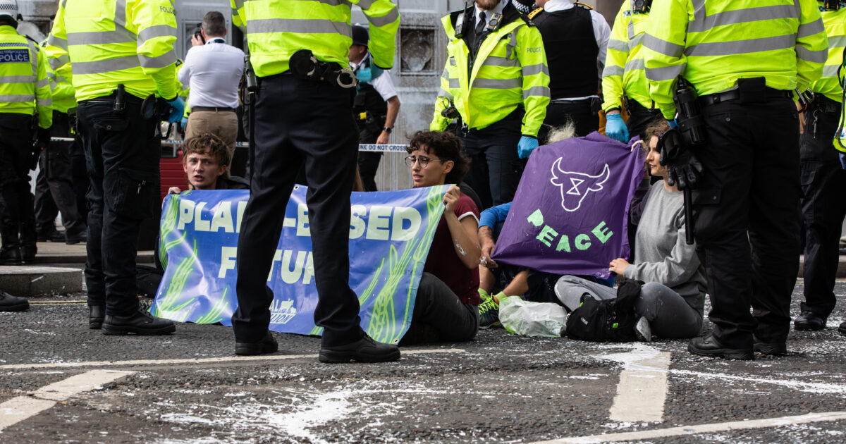 Animal Rebellion Activists on Why They’re Emptying Supermarkets of Milk ...