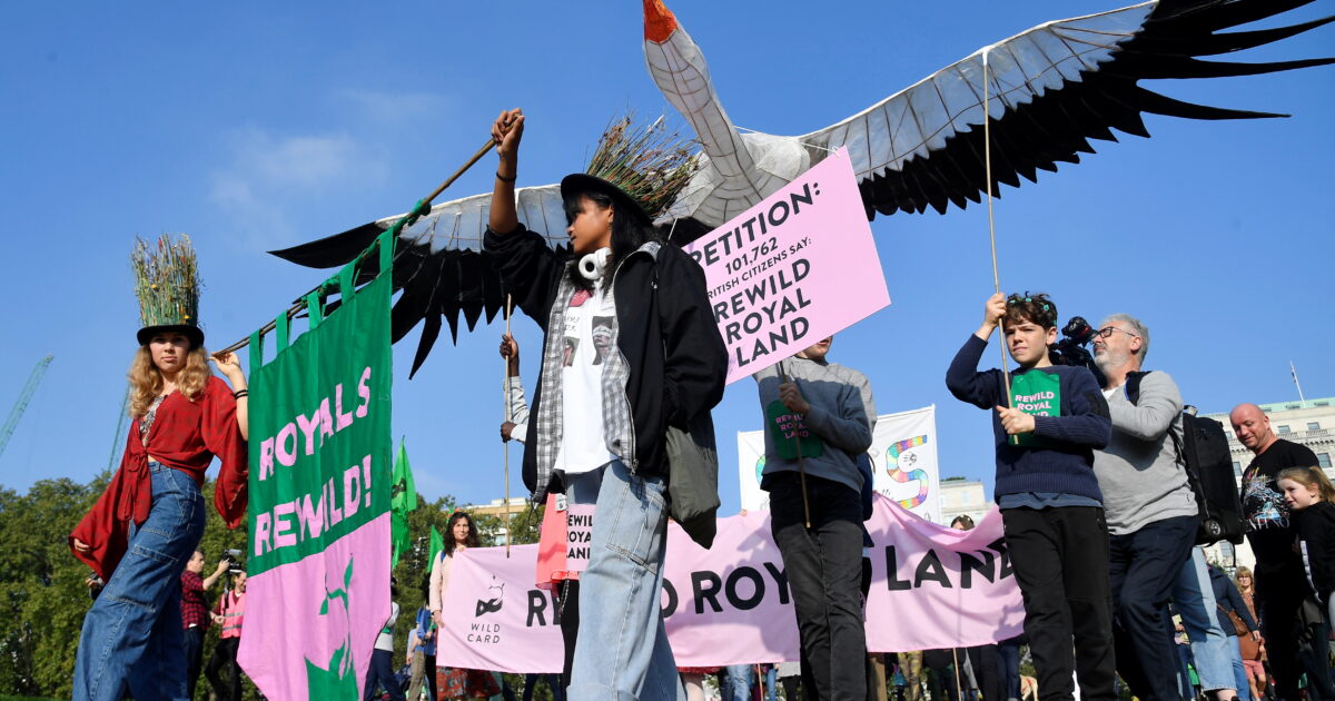 Who is the Rewilding Movement’s Green Utopia For? | Novara Media