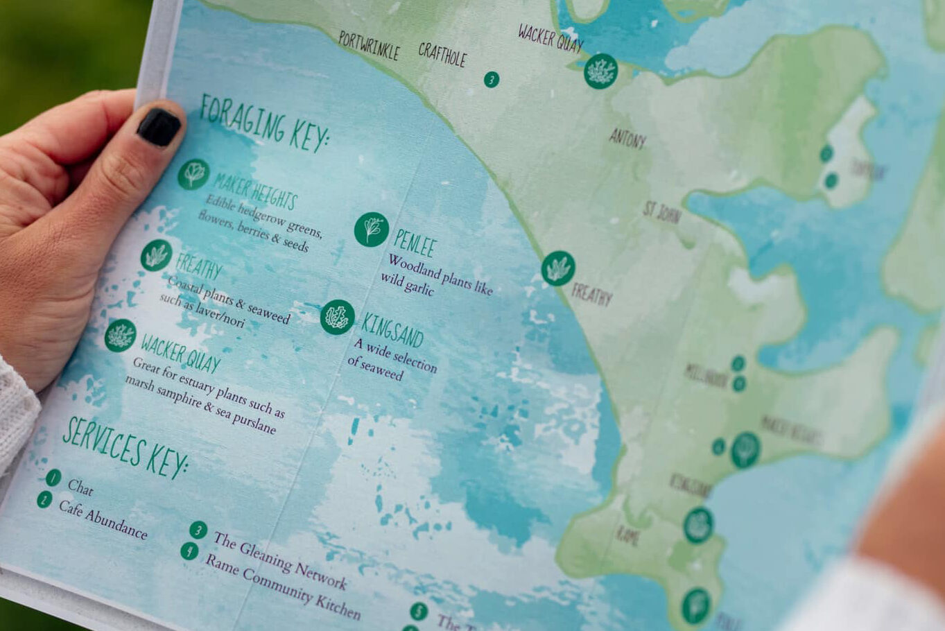 As Food Prices Hit a 45-Year High, People Are Foraging Wild Foods to ...